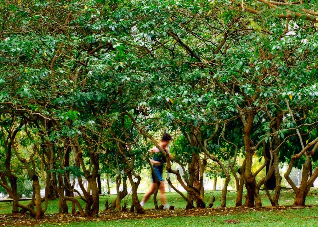 Maria Vincent Robinson – Photographer Of Life and moments