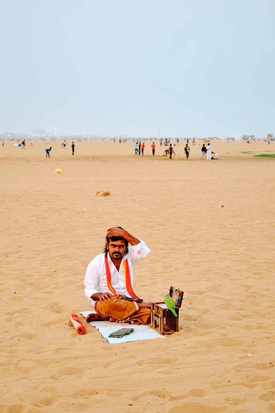 A parrot astrologer waiting for customers at Marina Beach, Chennai ...